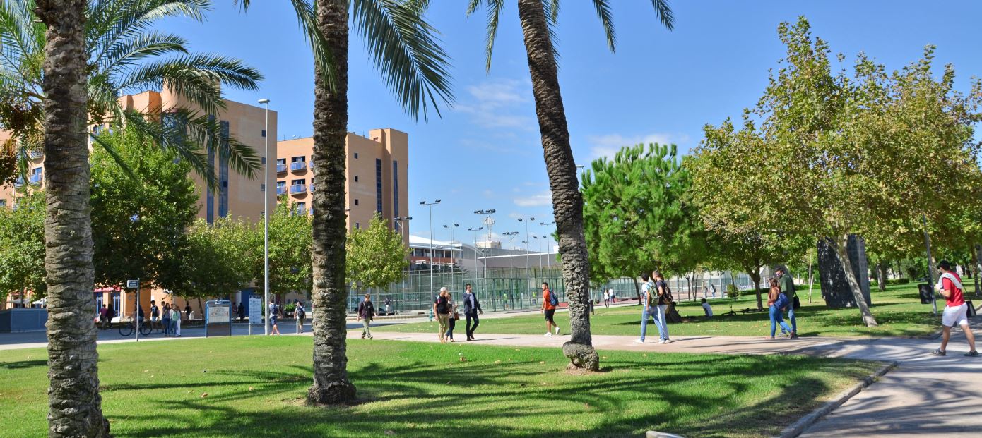 DTU Beyond Borders - Polytechnic University of Valencia (UPV) - ETSID ...
